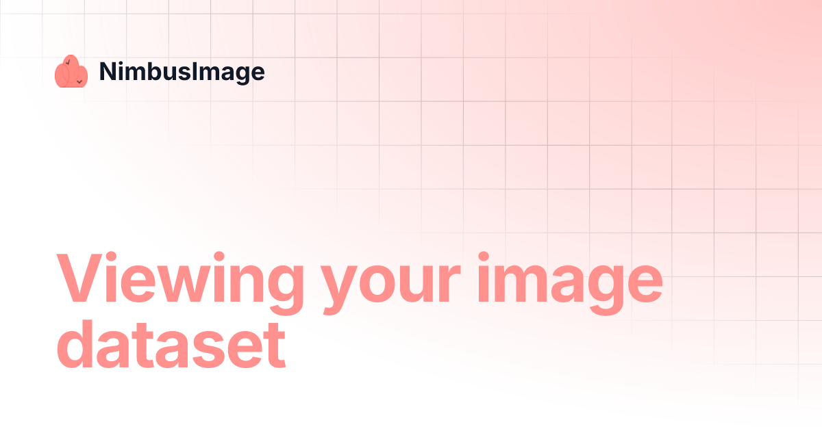 Viewing your image dataset | NimbusImage